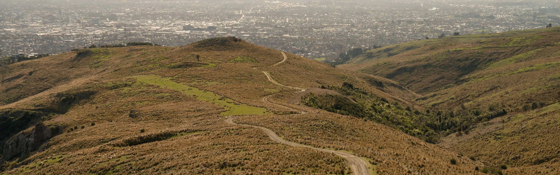 Plan My Walk