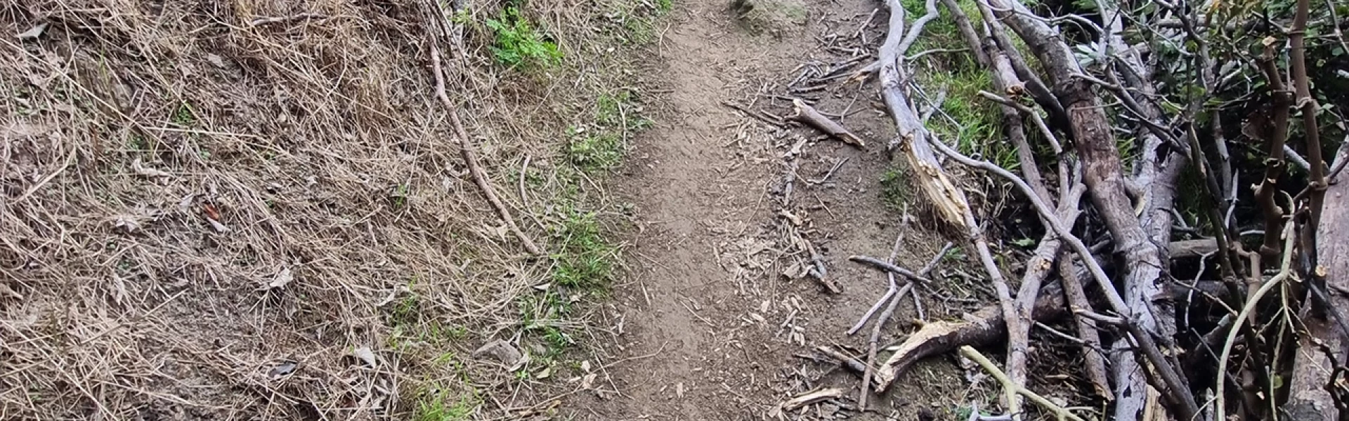 Plan My Walk