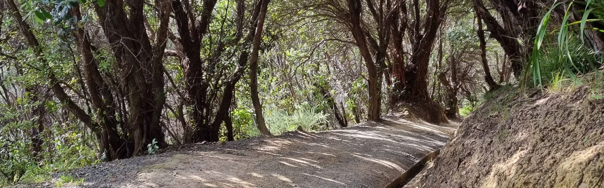 Plan My Walk