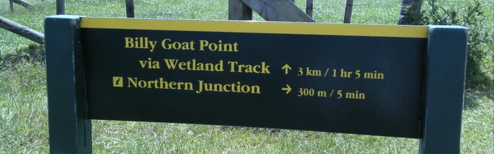 Plan My Walk