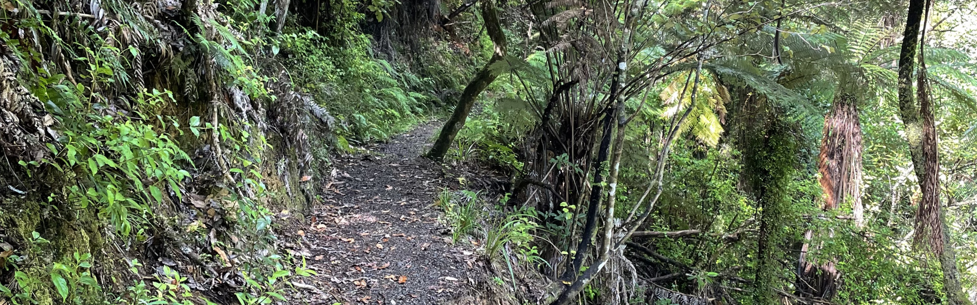 Plan My Walk