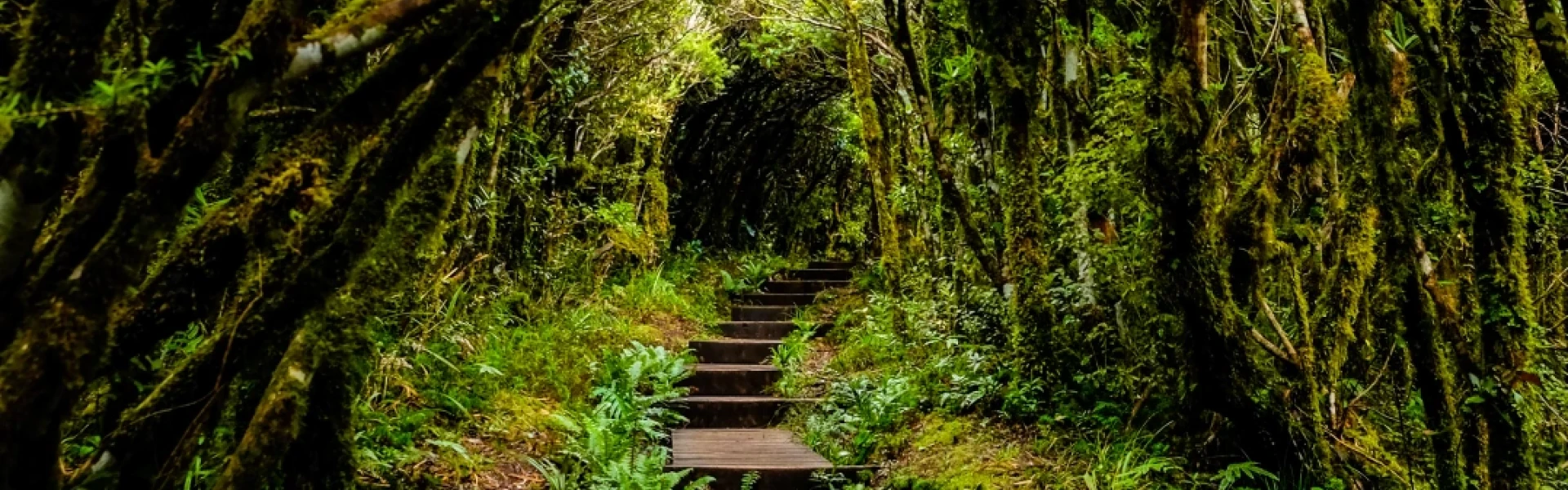 Plan My Walk