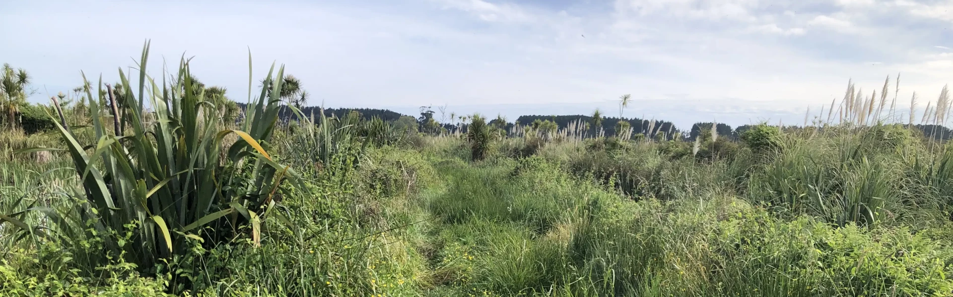 Plan My Walk
