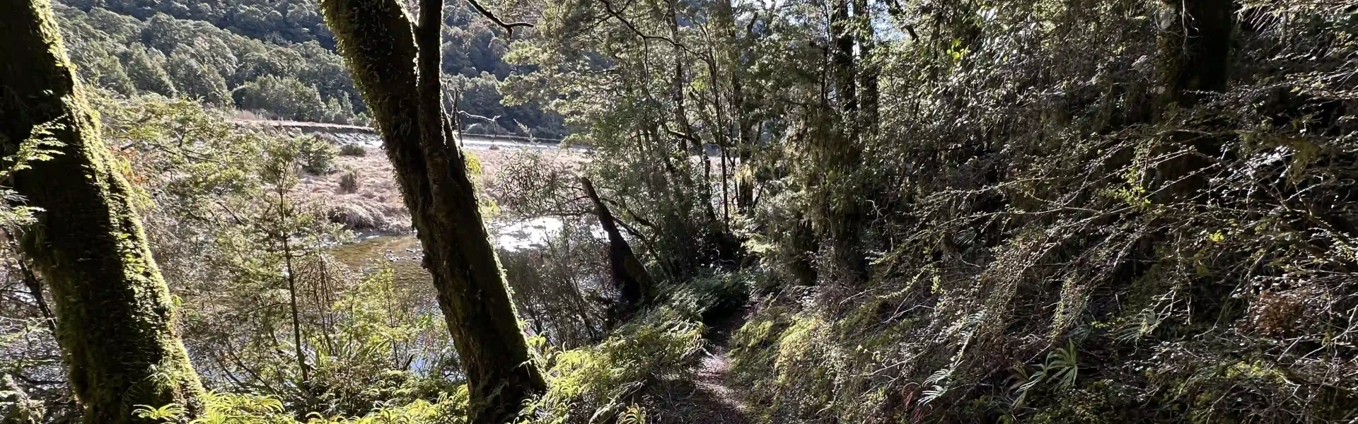 Plan My Walk
