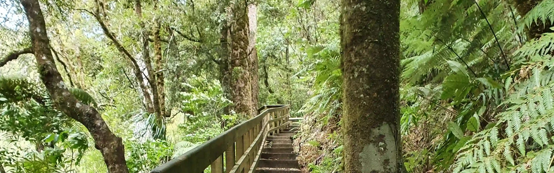 Plan My Walk