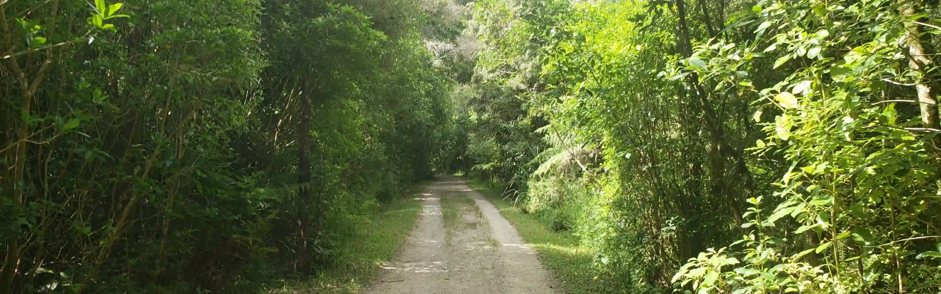 Plan My Walk