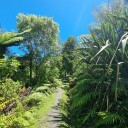 Plan My Walk